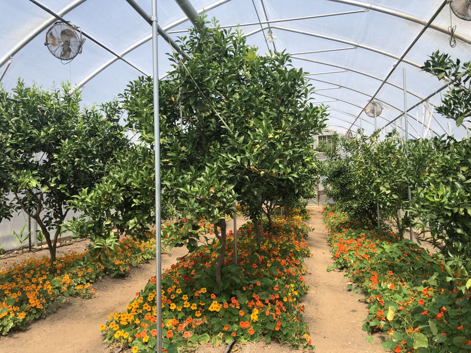 Baker Creek Seeds: Interview with Founder Jere Gettle | OUTLOOK magazine