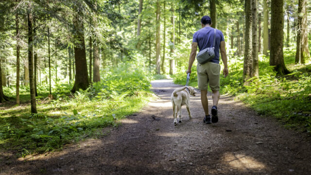 Exercise For Health | OUTLOOK magazine