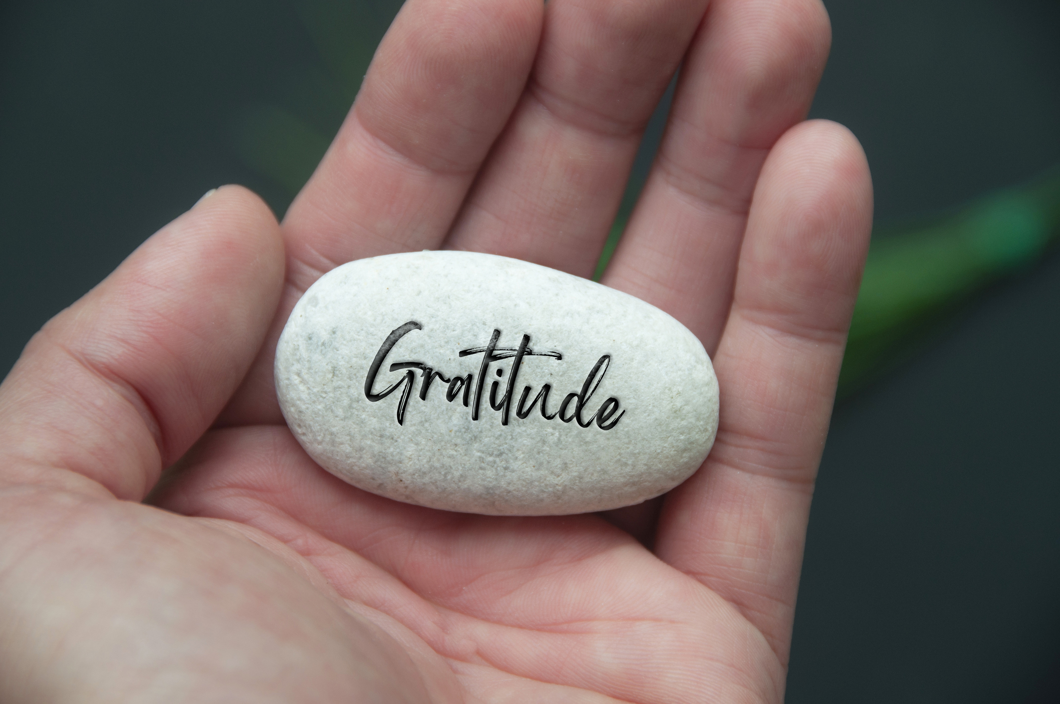 The Spiritual Discipline of Expressing Gratitude | OUTLOOK magazine