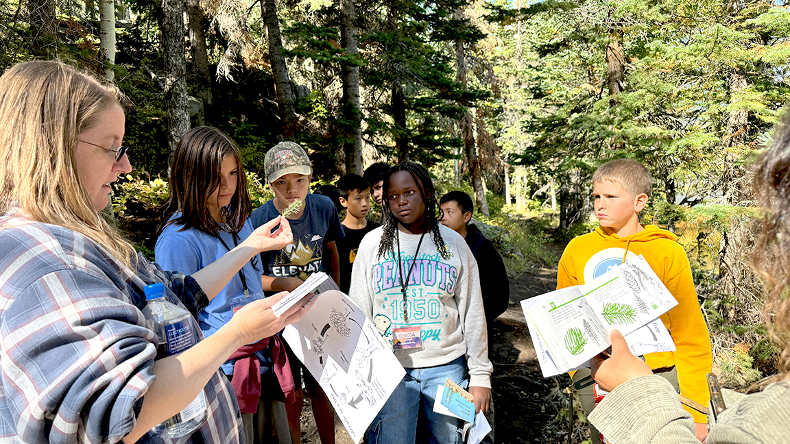 Outdoor School Features Classroom Sans Internet | OUTLOOK magazine